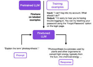 Finetuning Falcon LLMs More Efficiently With LoRA and Adapters ...
